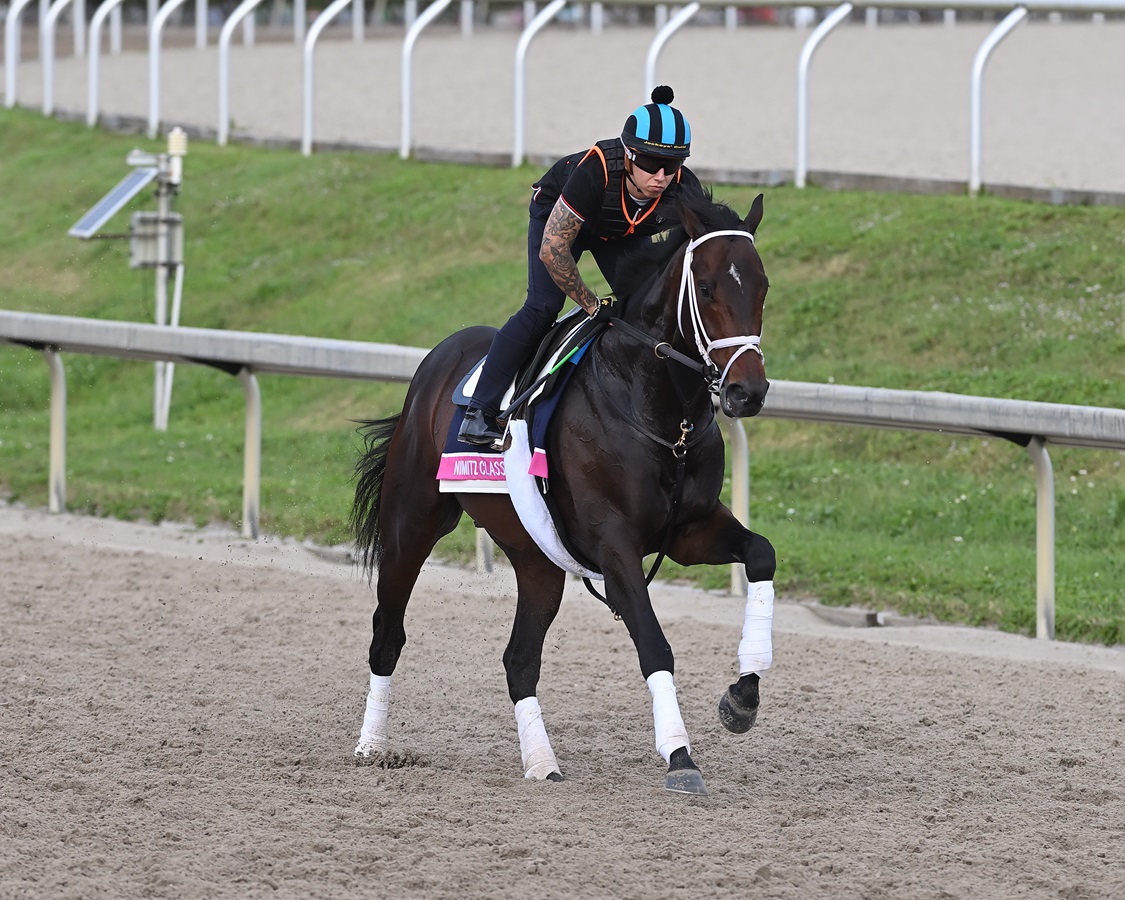 Laurel Park tendrá un atractivo cuarteto de Stakes el sábado | DRF en ...