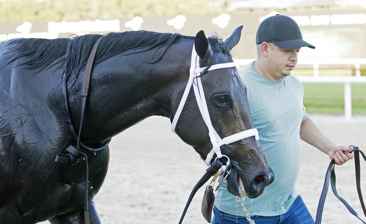 No More Time va directo al Tampa Bay Derby por más puntos | DRF en Español