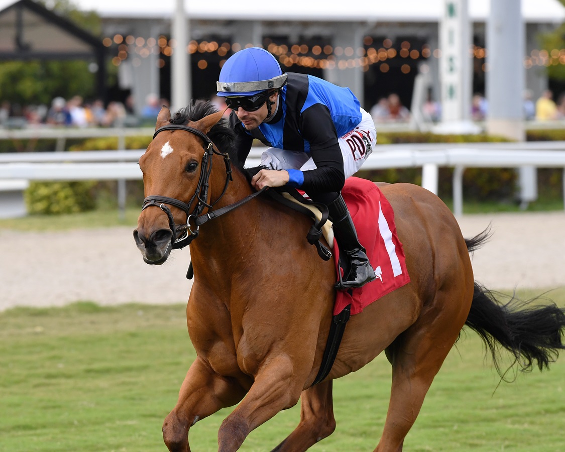 Stone Silent fue superior en el Ladies’ Turf Sprint Stakes | DRF en Español