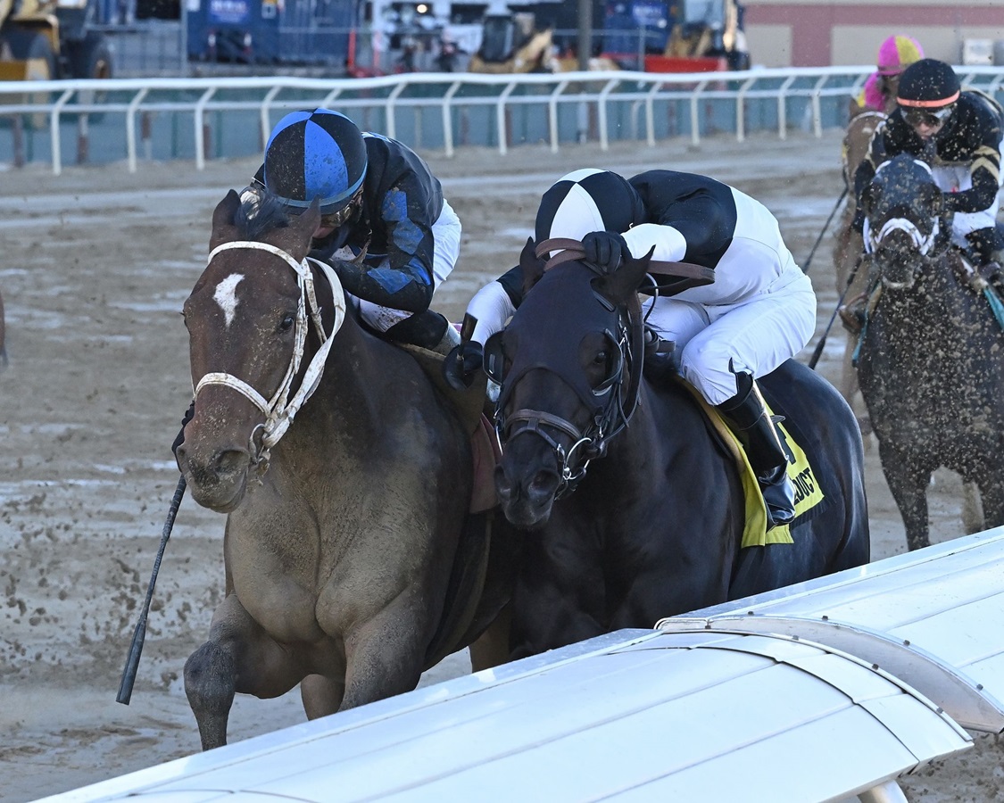 Uncle Heavy triunfa con drama en el Withers Stakes | DRF en Español