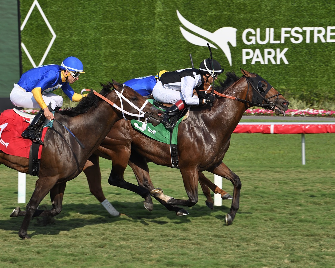 Coppola filmó una película para sorprender en el Silks Run Stakes | DRF ...