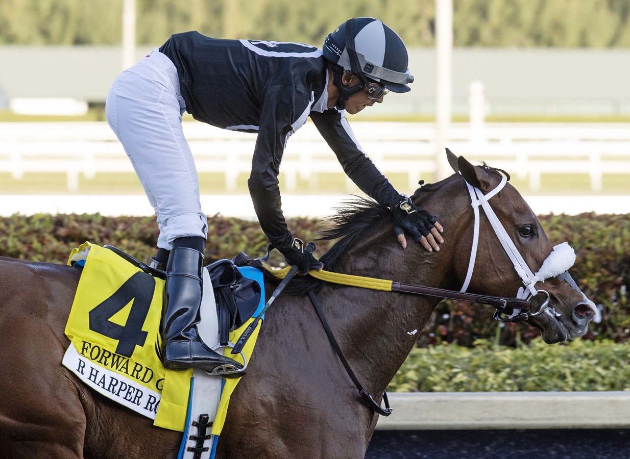 R Harper Rose máxima candidata del Any Limit Stakes | DRF en Español