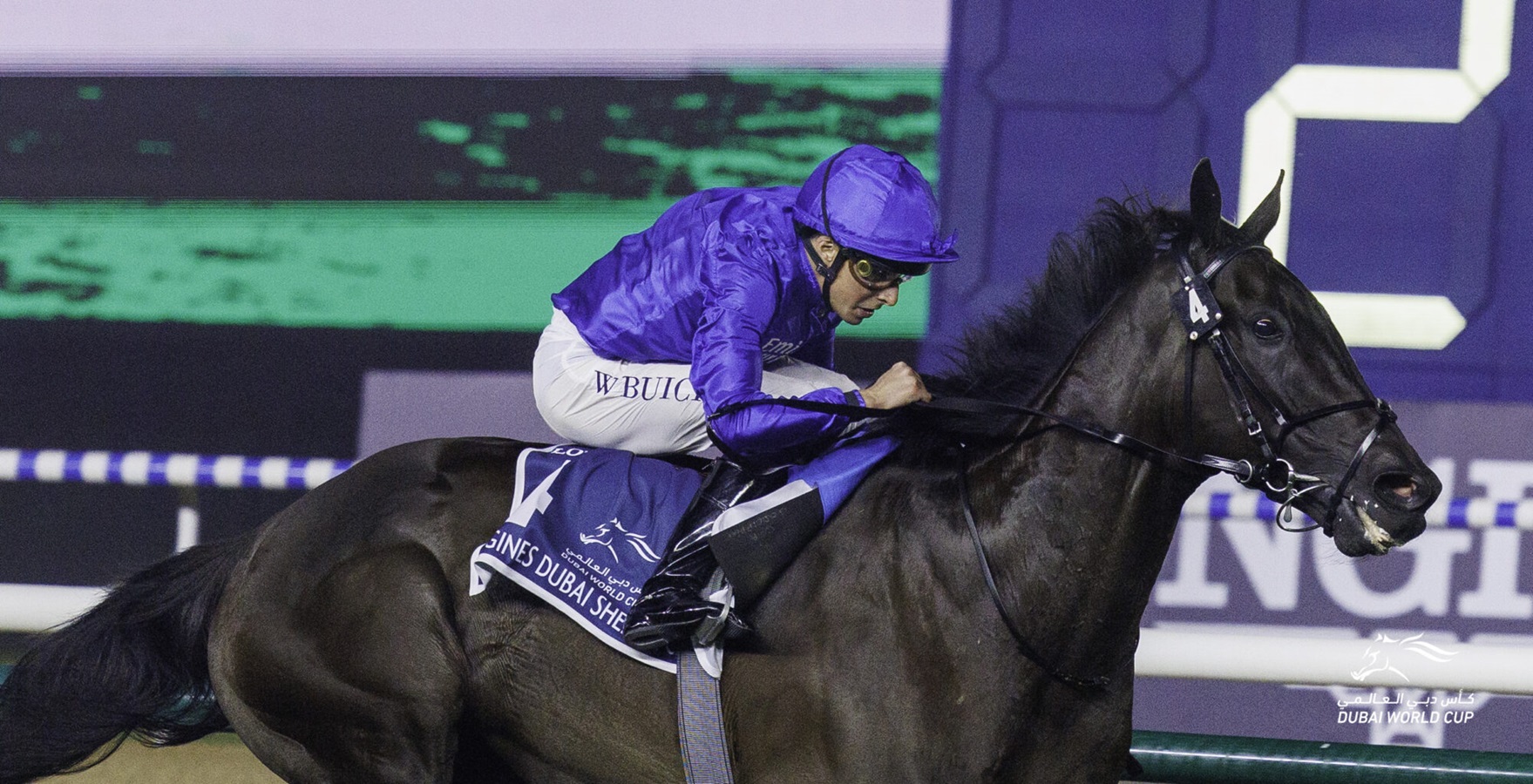 Rebel's Romance reinó en la Dubai Sheema Classic | DRF en Español