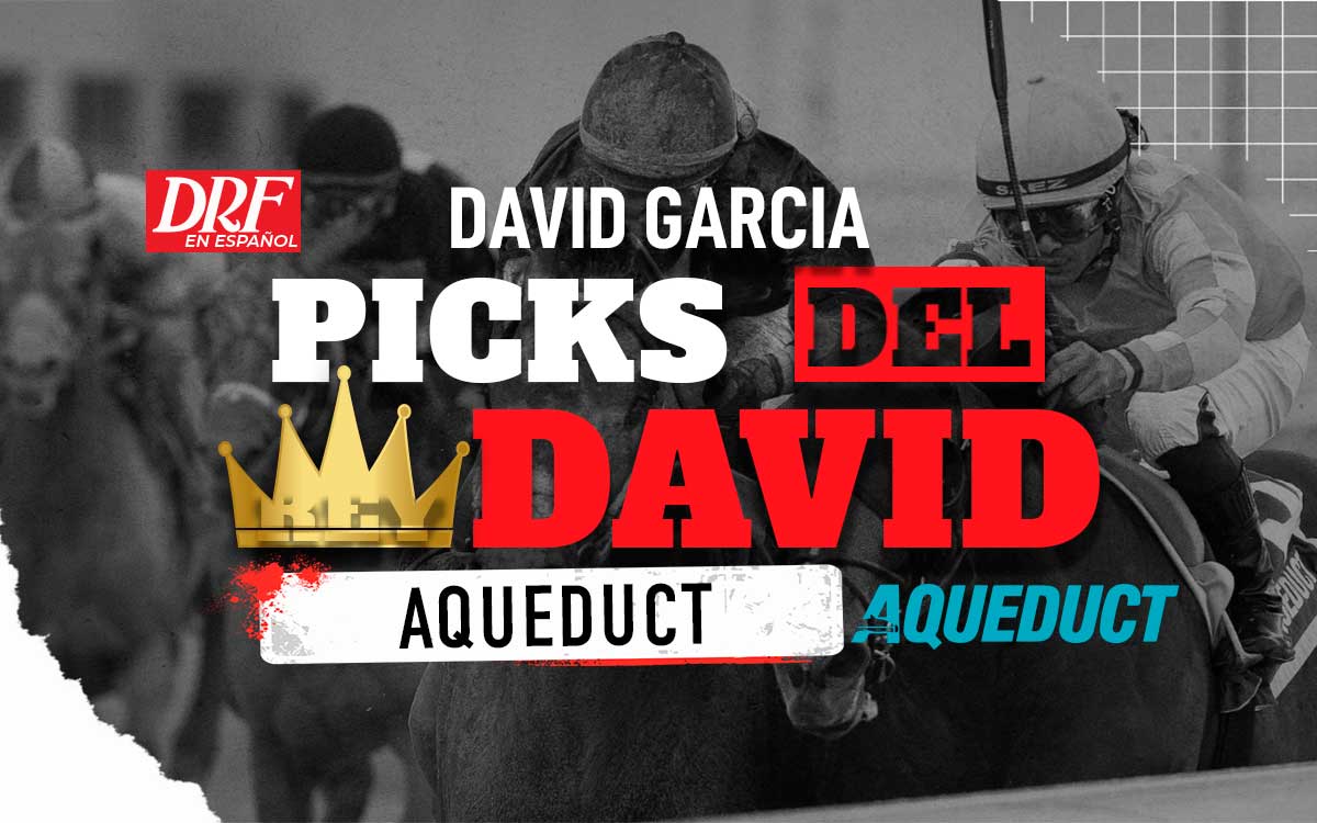 Los Picks del Rey David, Aqueduct, marzo 28 | DRF en Español