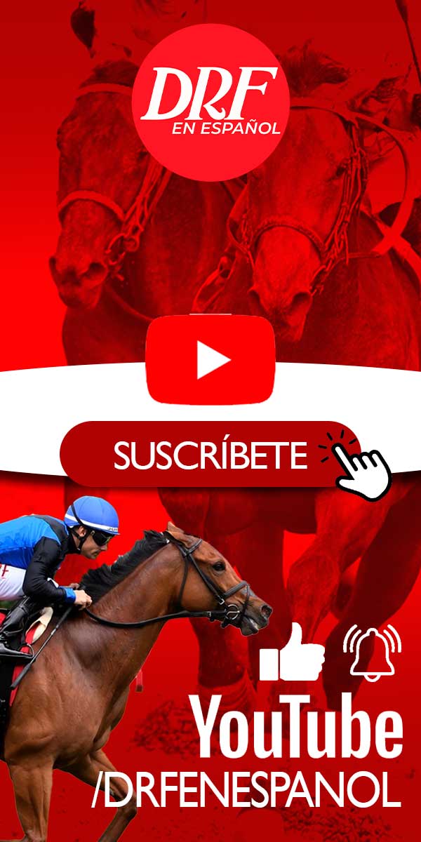 Programas de Carreras "PP's" Gratis | DRF en Español