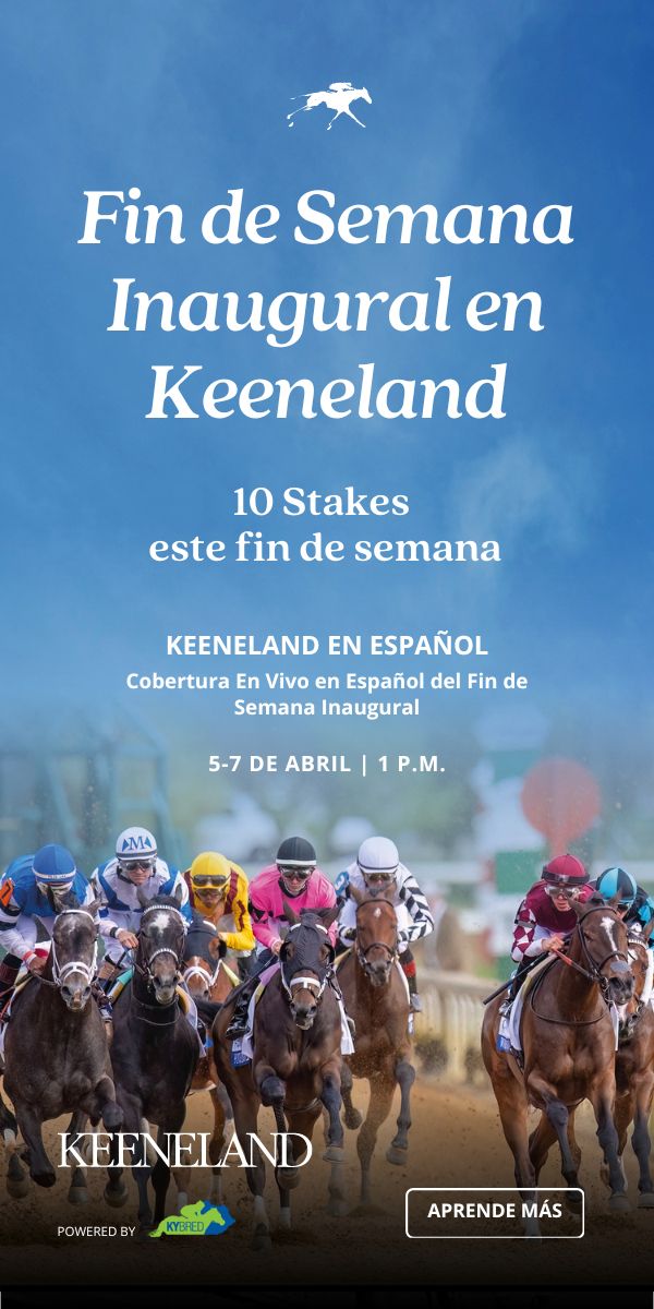 La Carrera del Día | DRF en Español