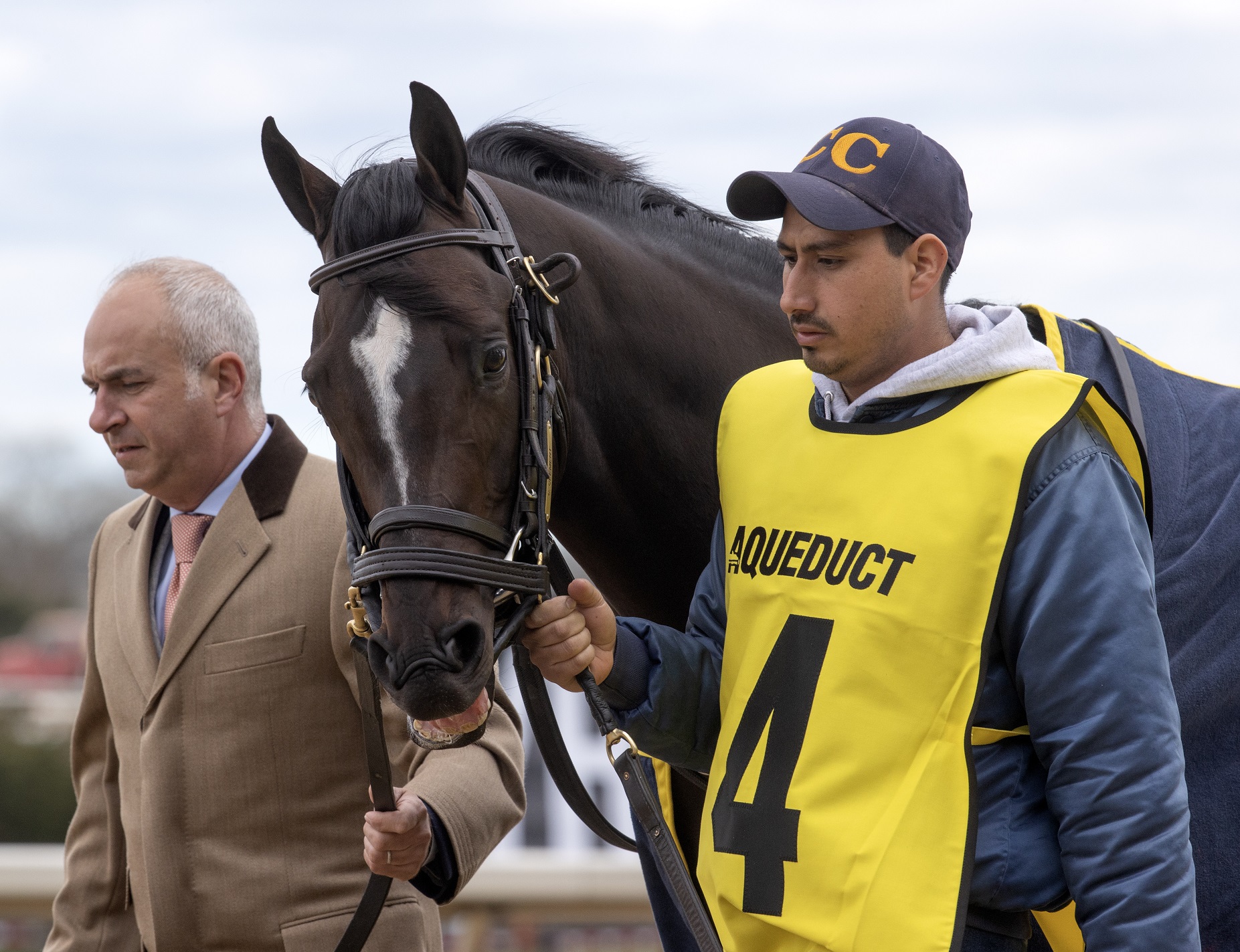 Oficial: Deterministic fuera del Kentucky Derby 150 | DRF en Español