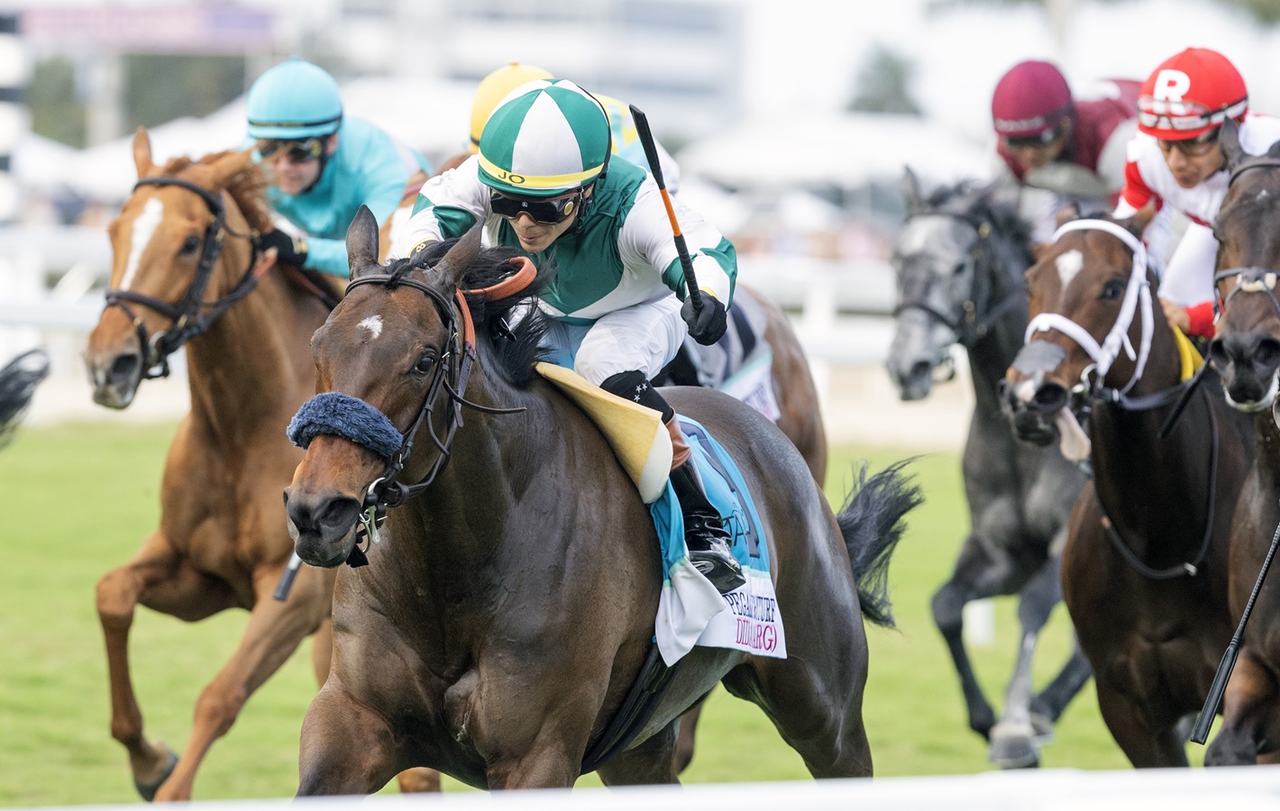 Didia defenderá su casta latina en la milla del Jenny Wiley Stakes ...