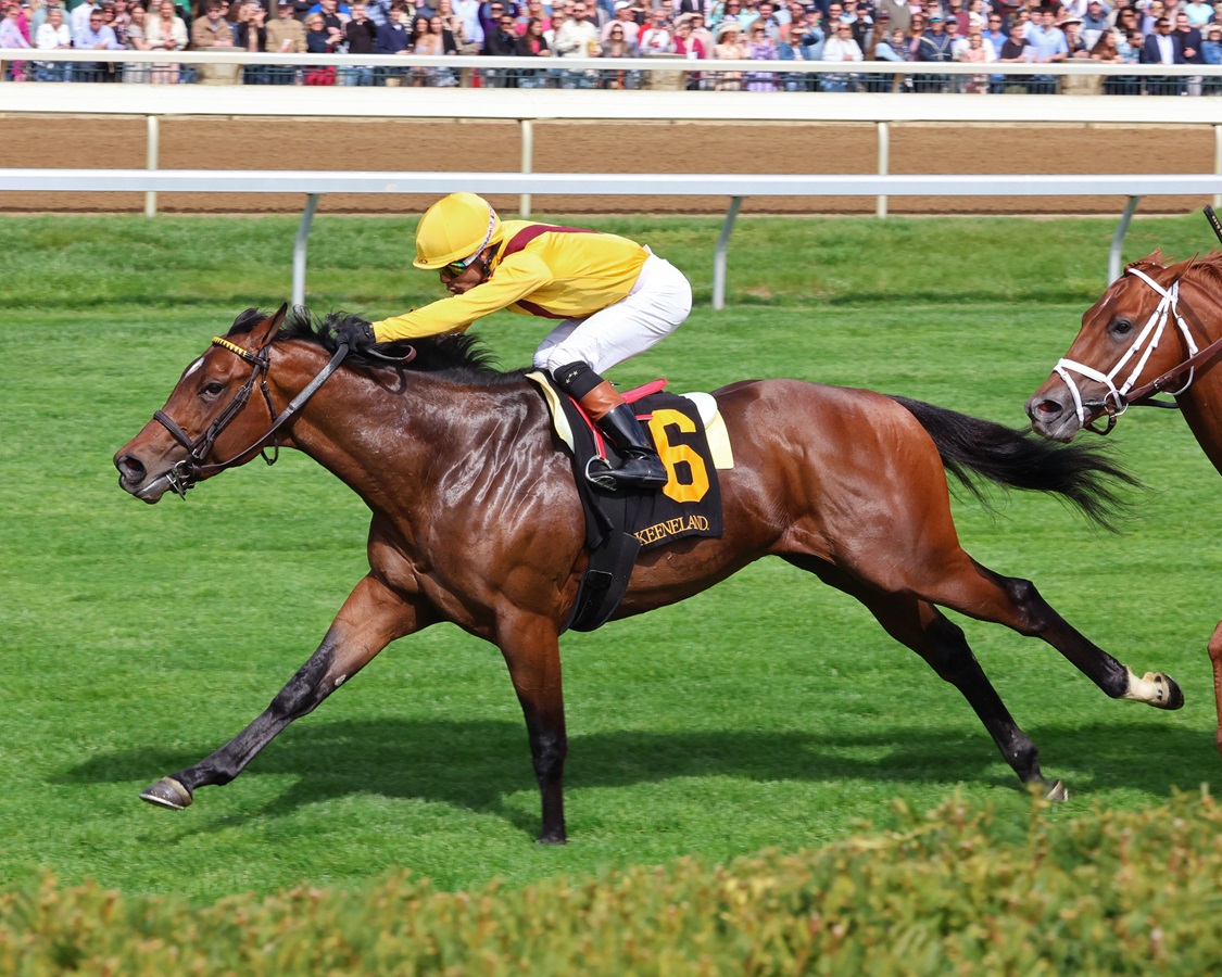 Fandom dominó a los velocistas en el Palisades Stakes | DRF en Español