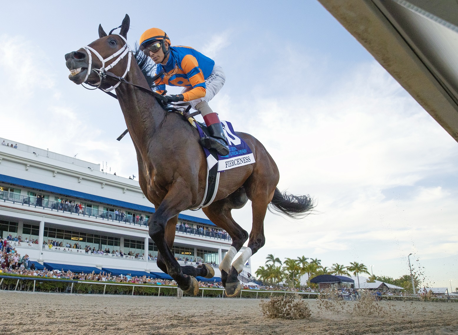 DERBYSCOPIO XV. Abril 2, 2024 | DRF en Español