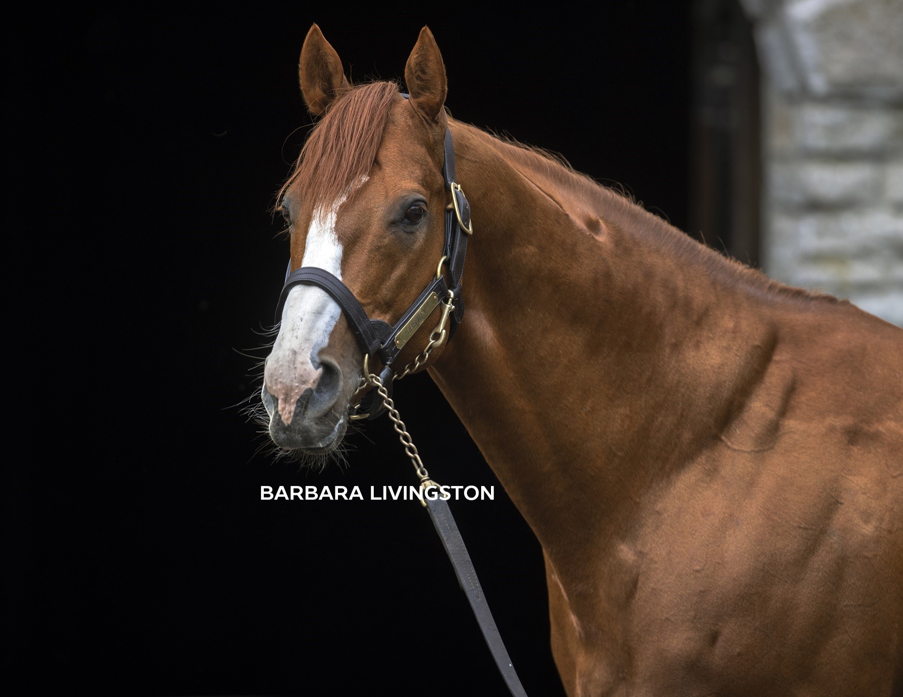 La presencia histórica de Justify en las grandes carreras clásicas de ...