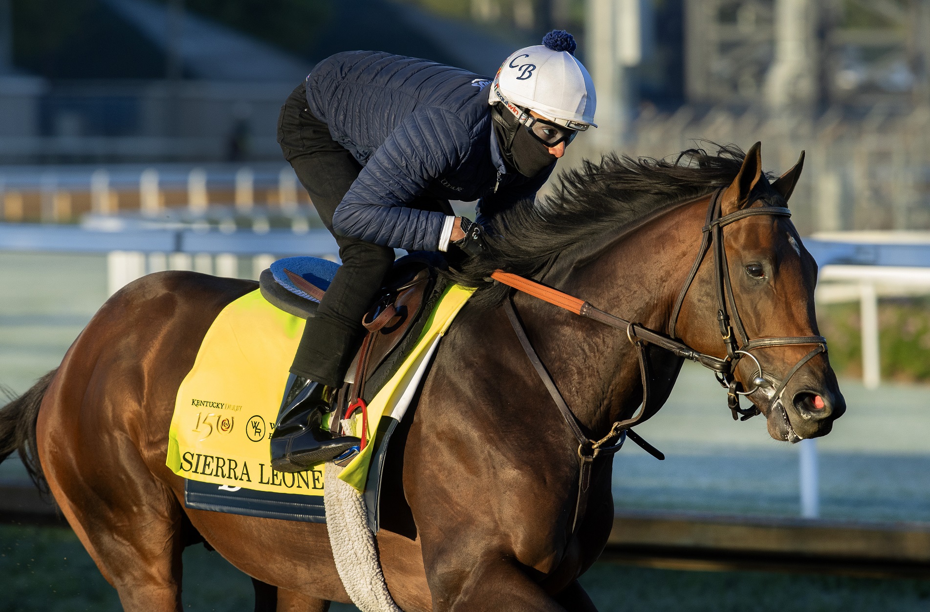 Una mirada a Sierra Leone, el líder del Camino al Kentucky Derby 150 ...