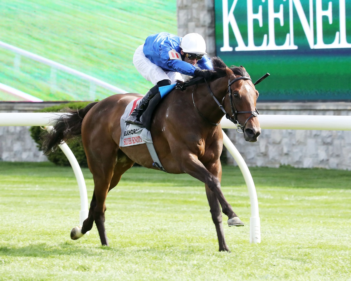 Silver Knott gana el Elkhorn Stakes, Godolphin de nuevo en lo alto ...