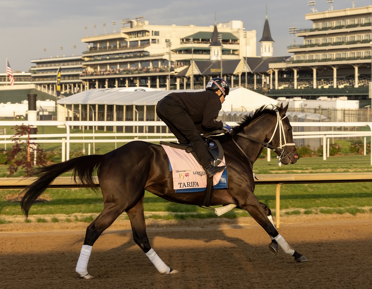 Estas catorce potras competirán en las Kentucky Oaks | DRF en Español