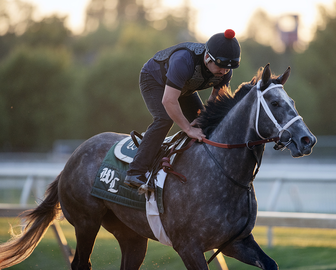 Conoce a las favoritas para ganar el Black-Eyed Susan Stakes | DRF en ...