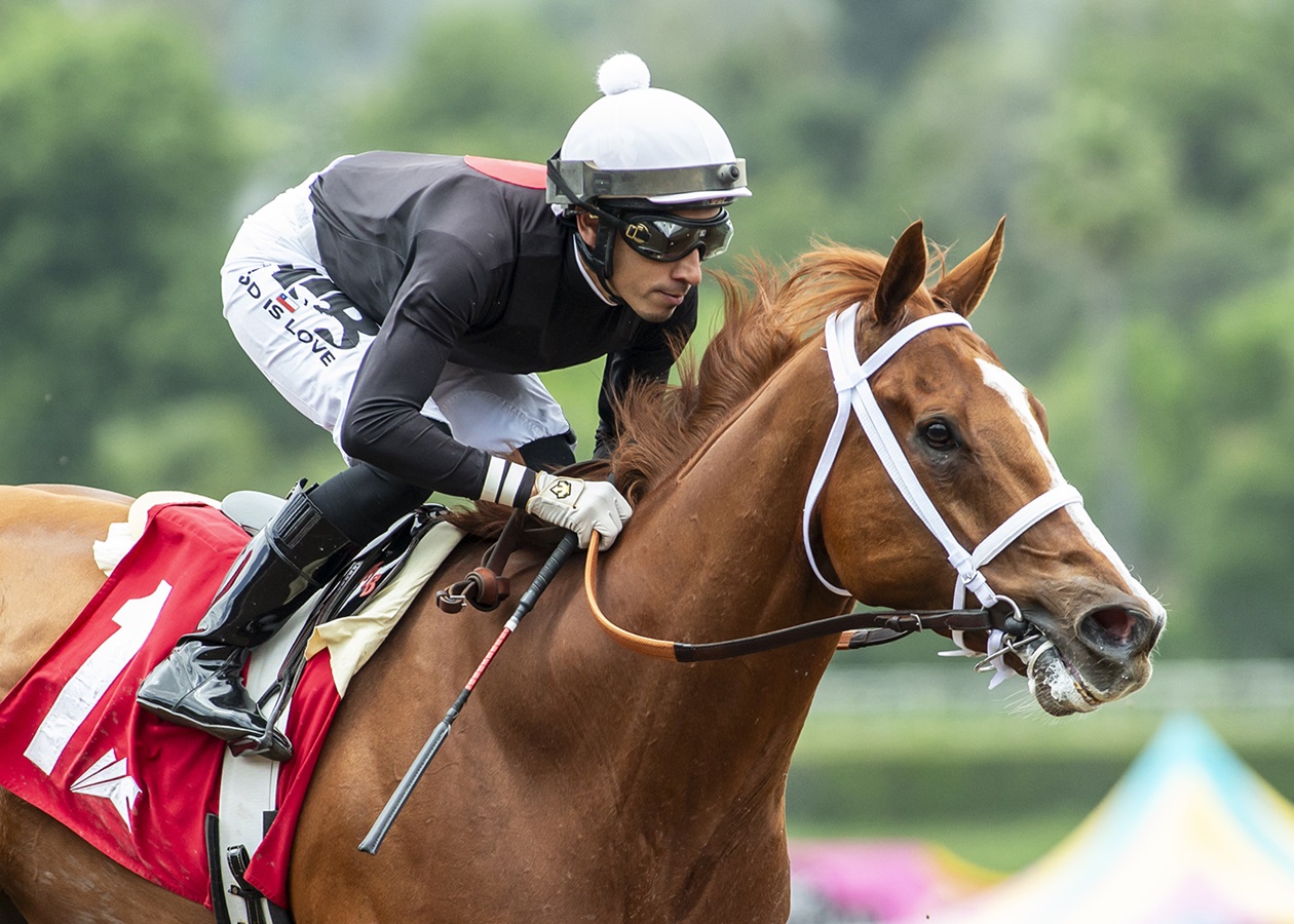 The Chosen Vron sumó la victoria 18 en el Thor’s Echo Stakes | DRF en ...