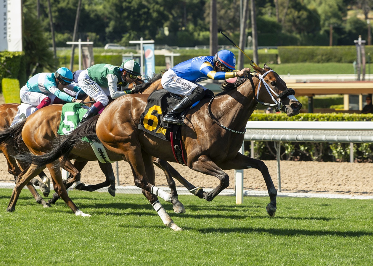 Victoria inesperada de Visually en el Senorita Stakes | DRF en Español