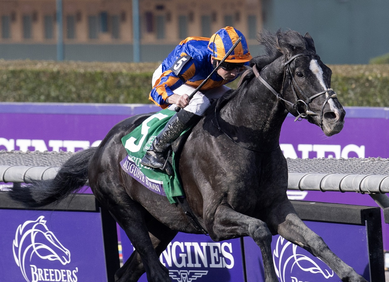 Este es el ejército equino que Coolmore armó para Royal Ascot | DRF en ...