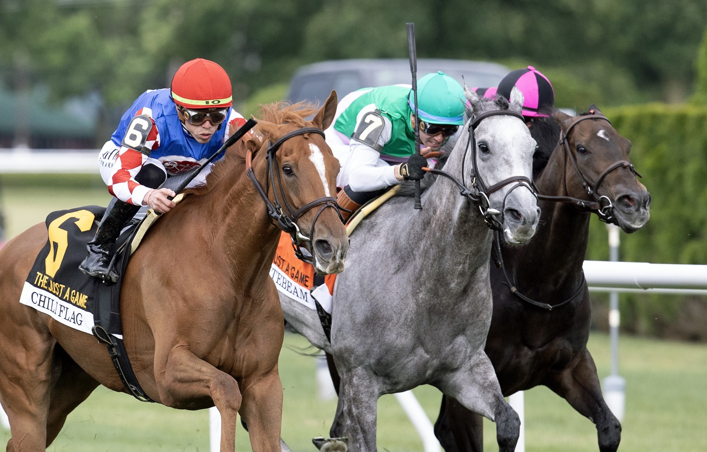 Chili Flag hizo aumentar el récord de Brown en el Just a Game Stakes ...