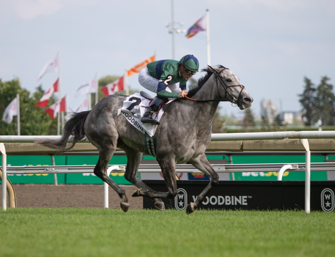 Implicated fue la mejor en el Nassau Stakes | DRF en Español