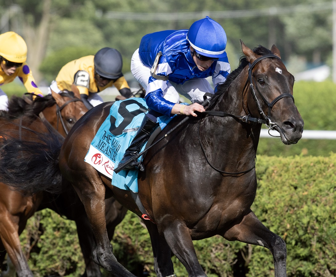Measured Time encabezó la exacta de Godolphin en el Manhattan | DRF en ...
