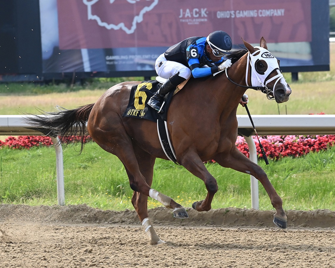 Misty Veil por vía de galope en el Lady Jacqueline | DRF en Español
