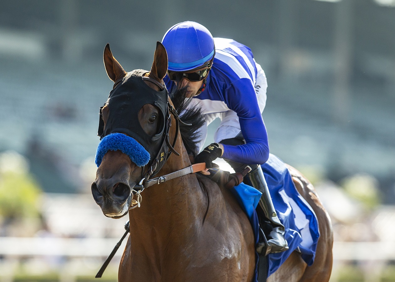 Parenting conservó fácilmente su invicto en el Affirmed Stakes | DRF en ...