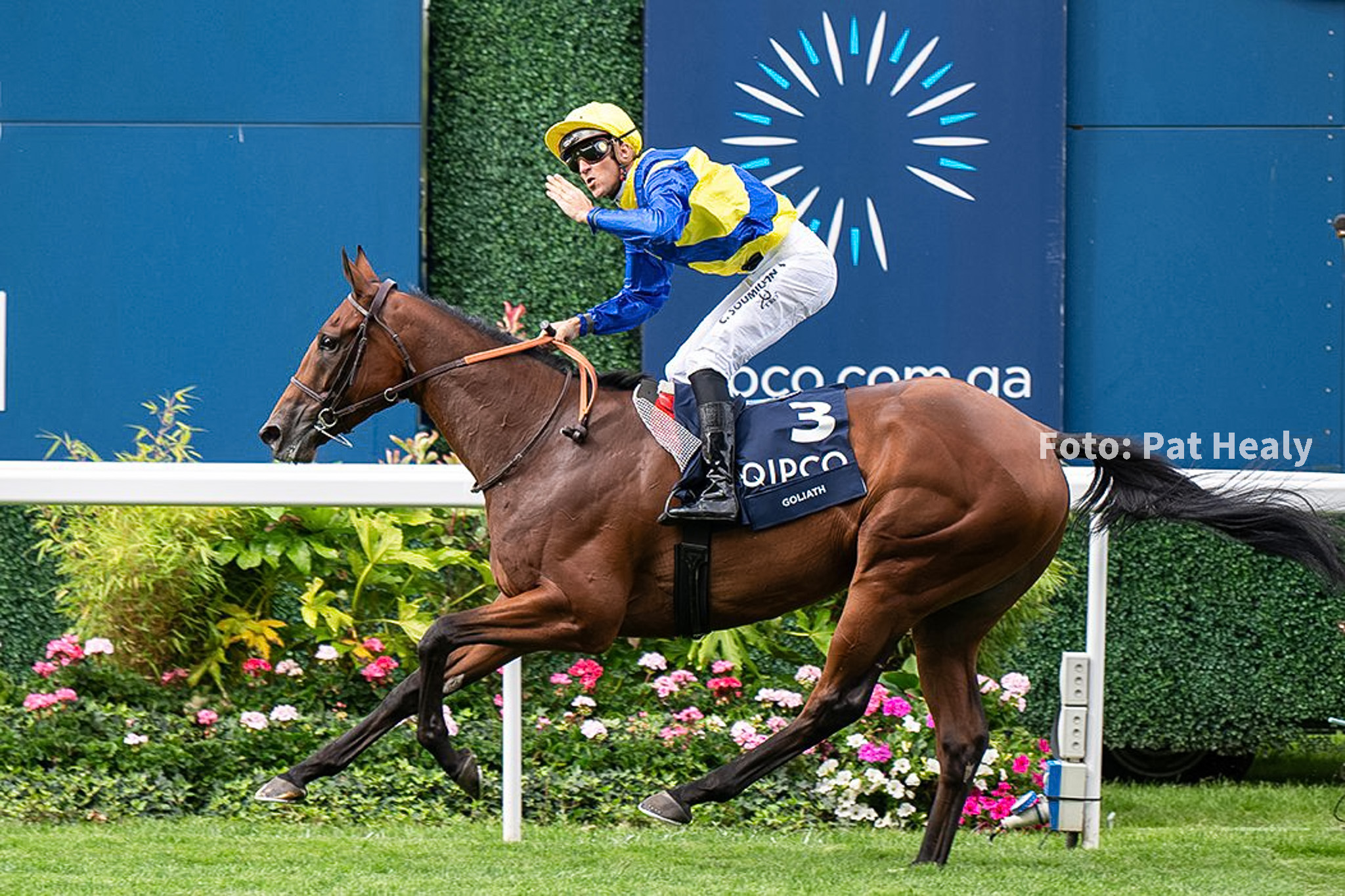 Una sorpresa gigante en el King George VI and Queen Elizabeth Stakes ...