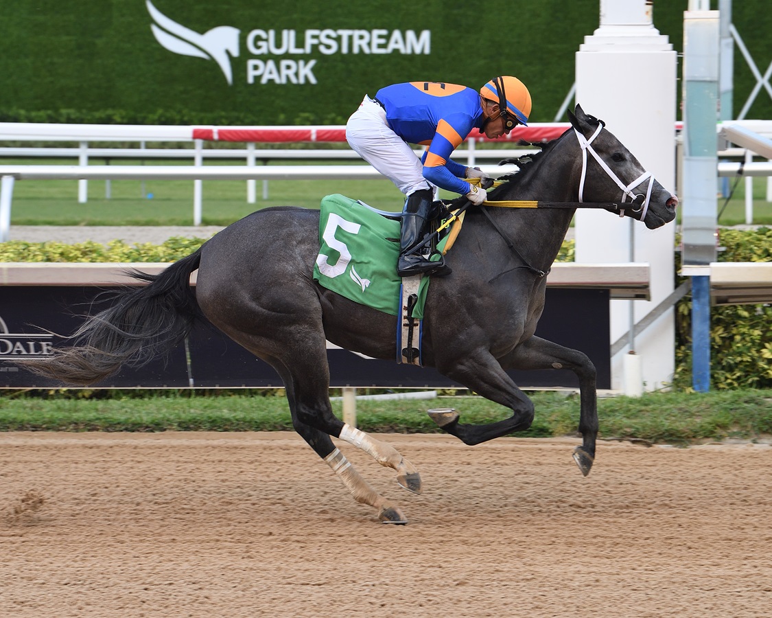 Haulin Ice impresionante en el Azalea Stakes | DRF en Español