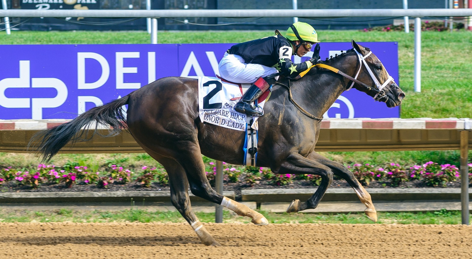 Honor D Lady demoledora en el Delaware Handicap | DRF en Español