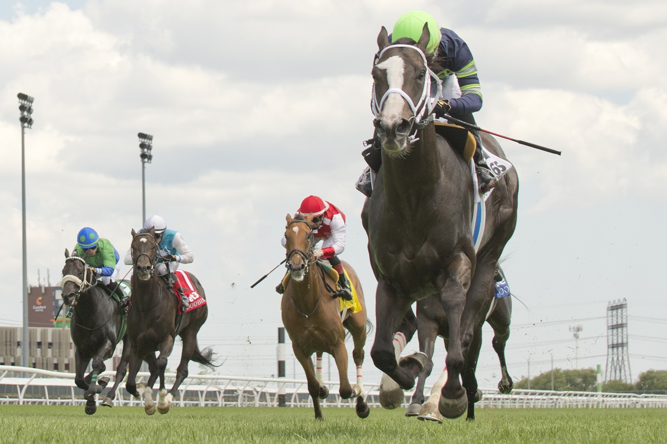 Kazushi Kimura arrasó en los Stakes de Woodbine | DRF en Español