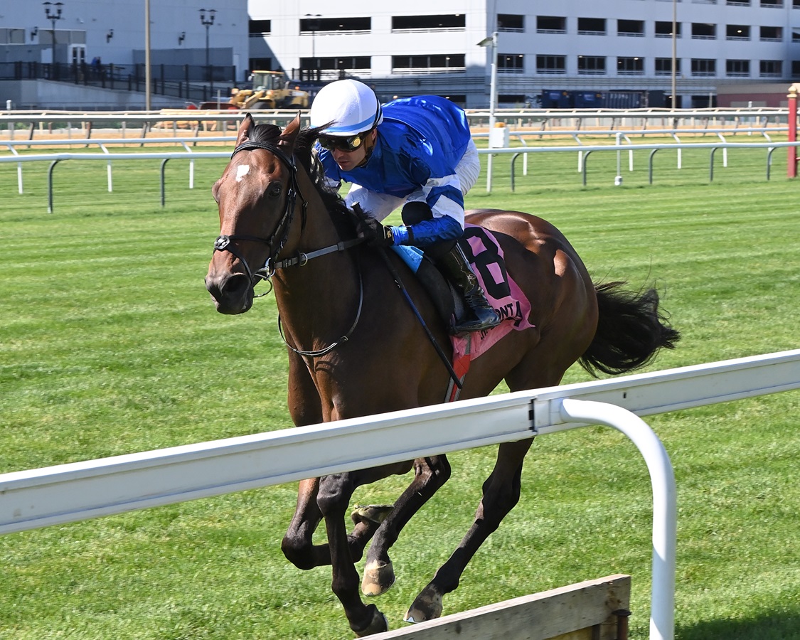 Silver Knott de Godolphin: El gran favorito en el Bowling Green G2 ...