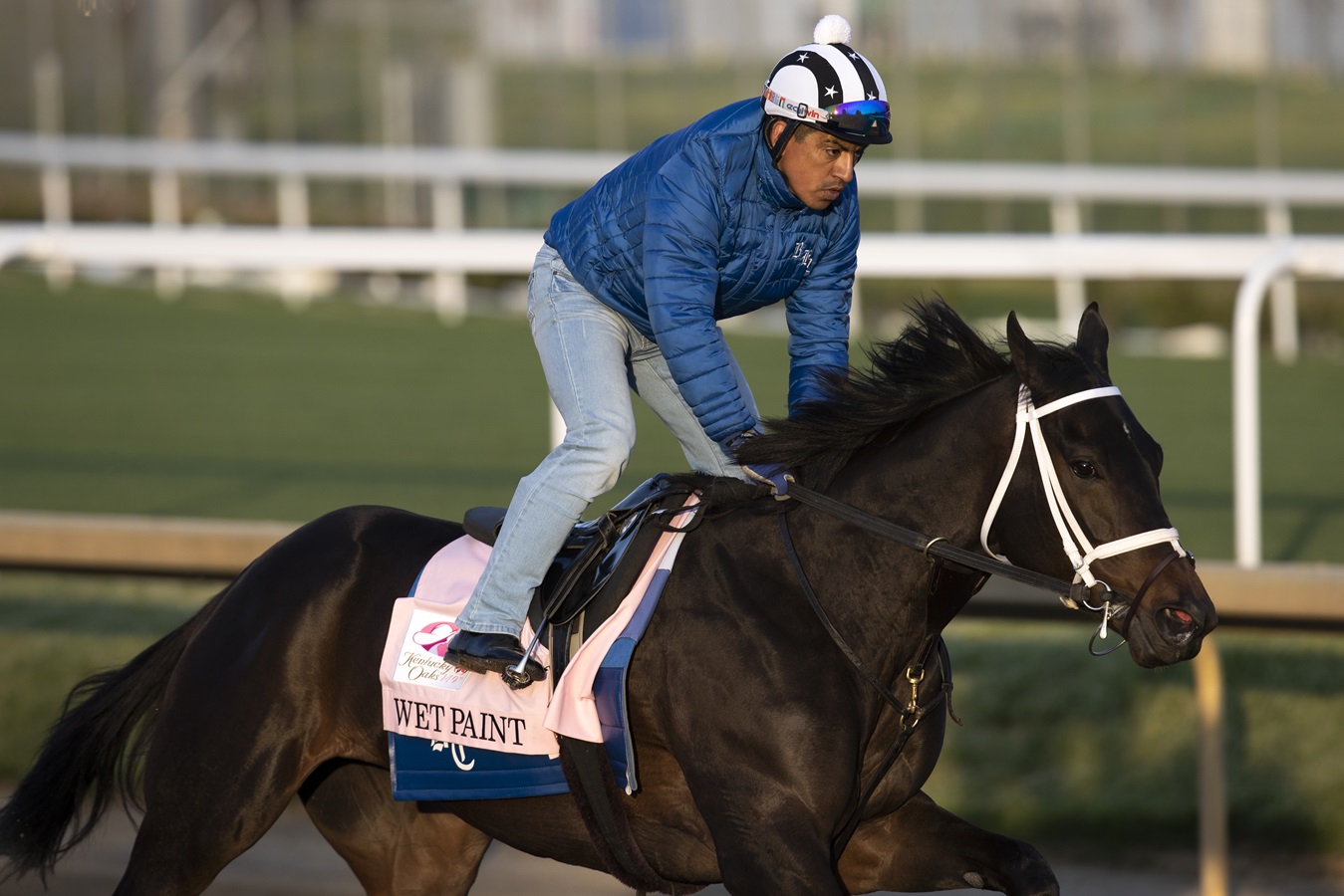 Ocho yeguas miden fuerzas en el Delaware Handicap | DRF en Español