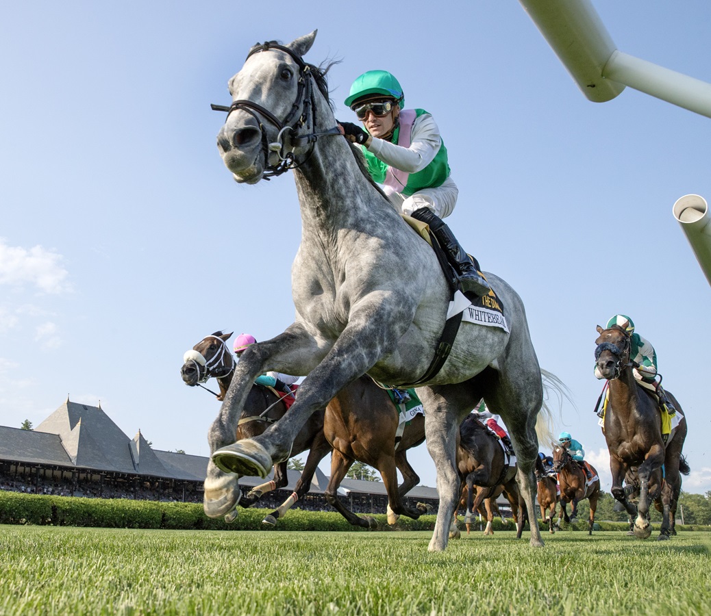 Whitebeam repite en el Diana, Brown consolida dominio | DRF en Español