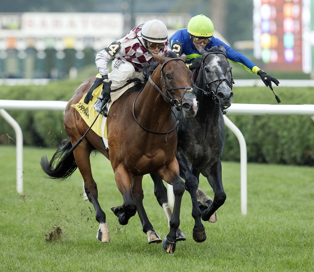 La victoria de Courtly Banker: emoción y drama en el Rick Violette Stakes | DRF en Español