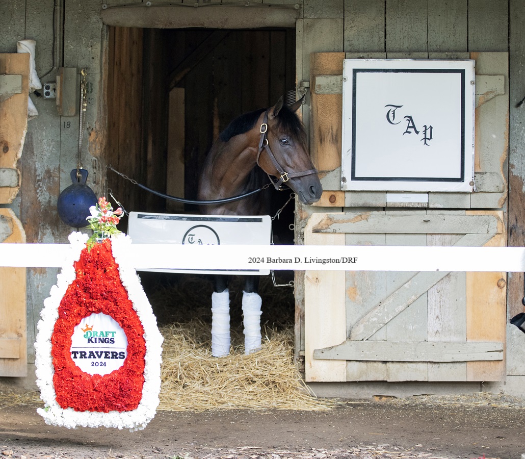 Estos son los planes inmediatos para los participantes del Travers ...