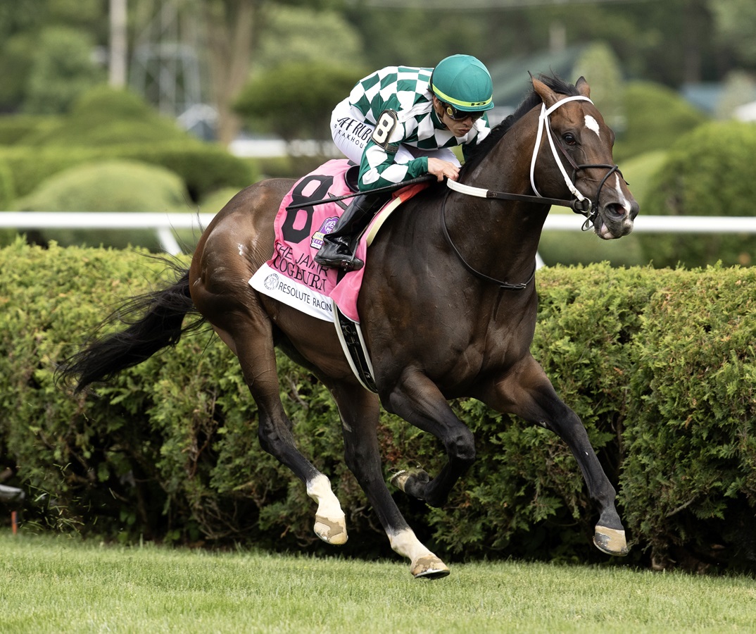 Rumbo a la Breeders’ Cup 2024: Cogburn | DRF en Español