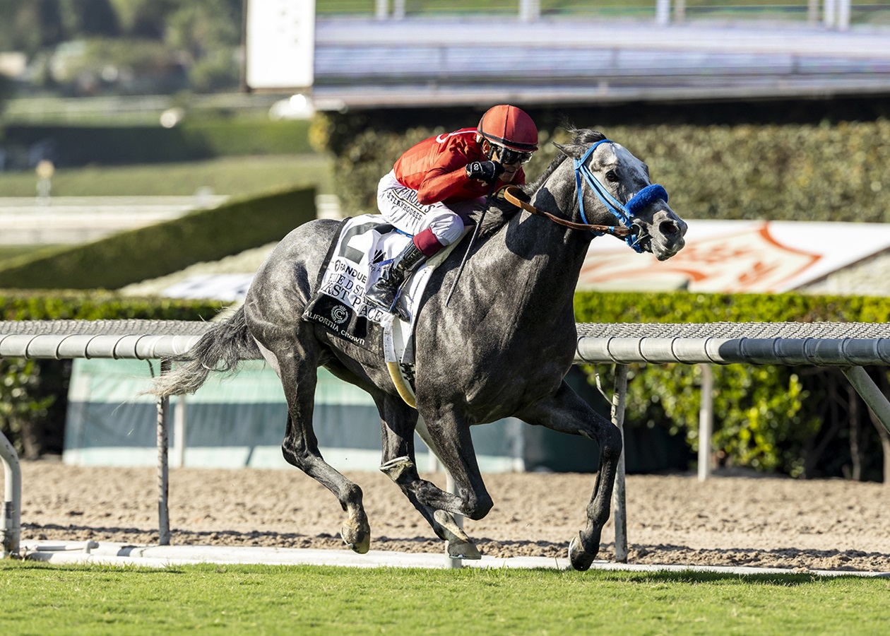 ¡Pura adrenalina! Así fue la victoria de First Peace en el Eddie D ...