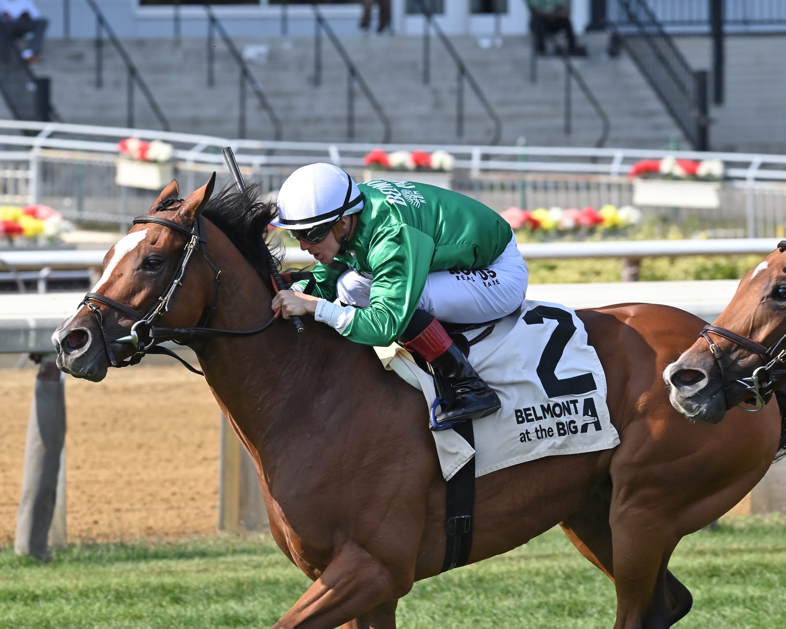 ¡Otra Exacta! 1-2 para Chad Brown en el Knickerbocker Stakes G3T | DRF ...