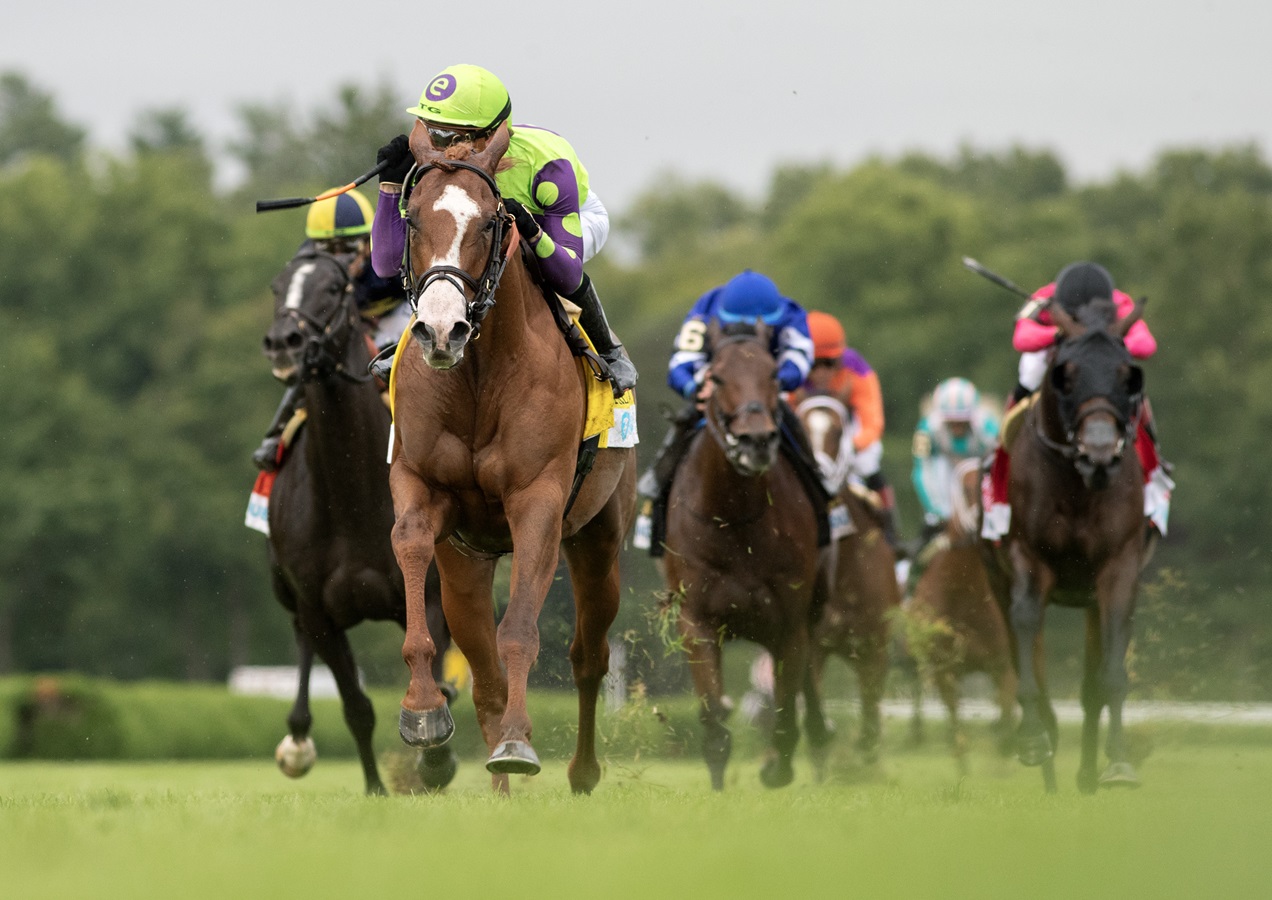 Rumbo a la Breeders’ Cup 2024: Carl Spackler | DRF en Español
