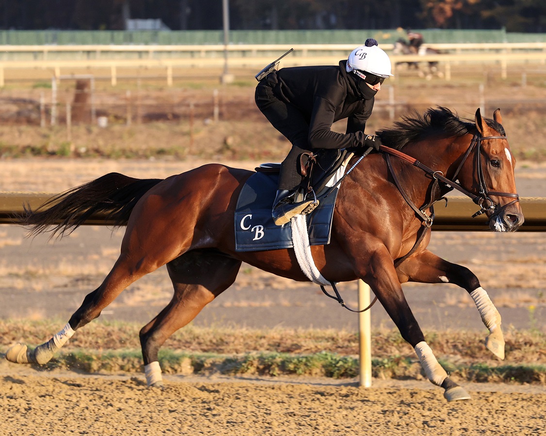 Estos fueron los integrantes de la flota de Brown que ejercitaron antes ...