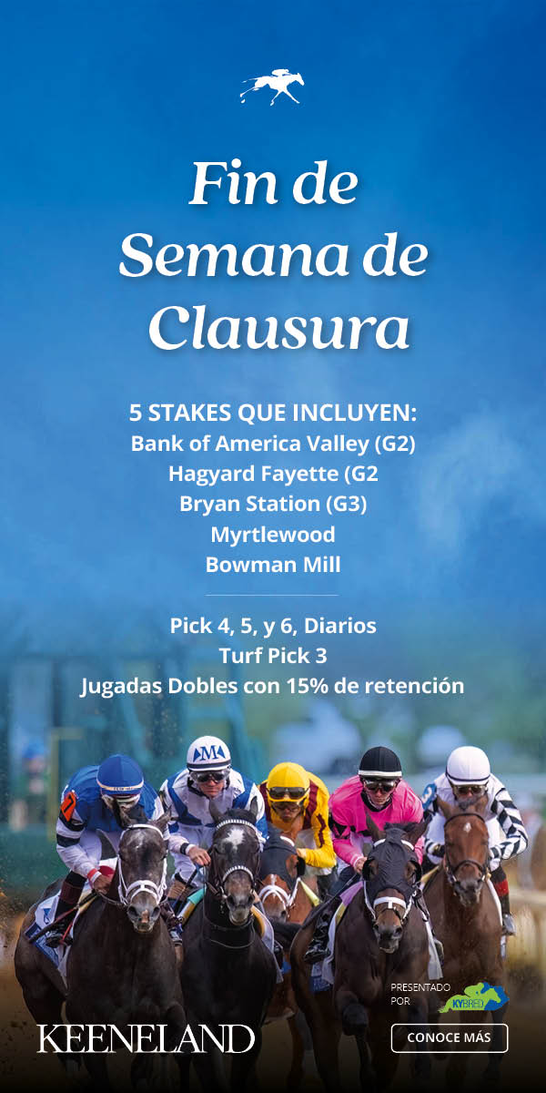 La Referencia Xpress | DRF en Español