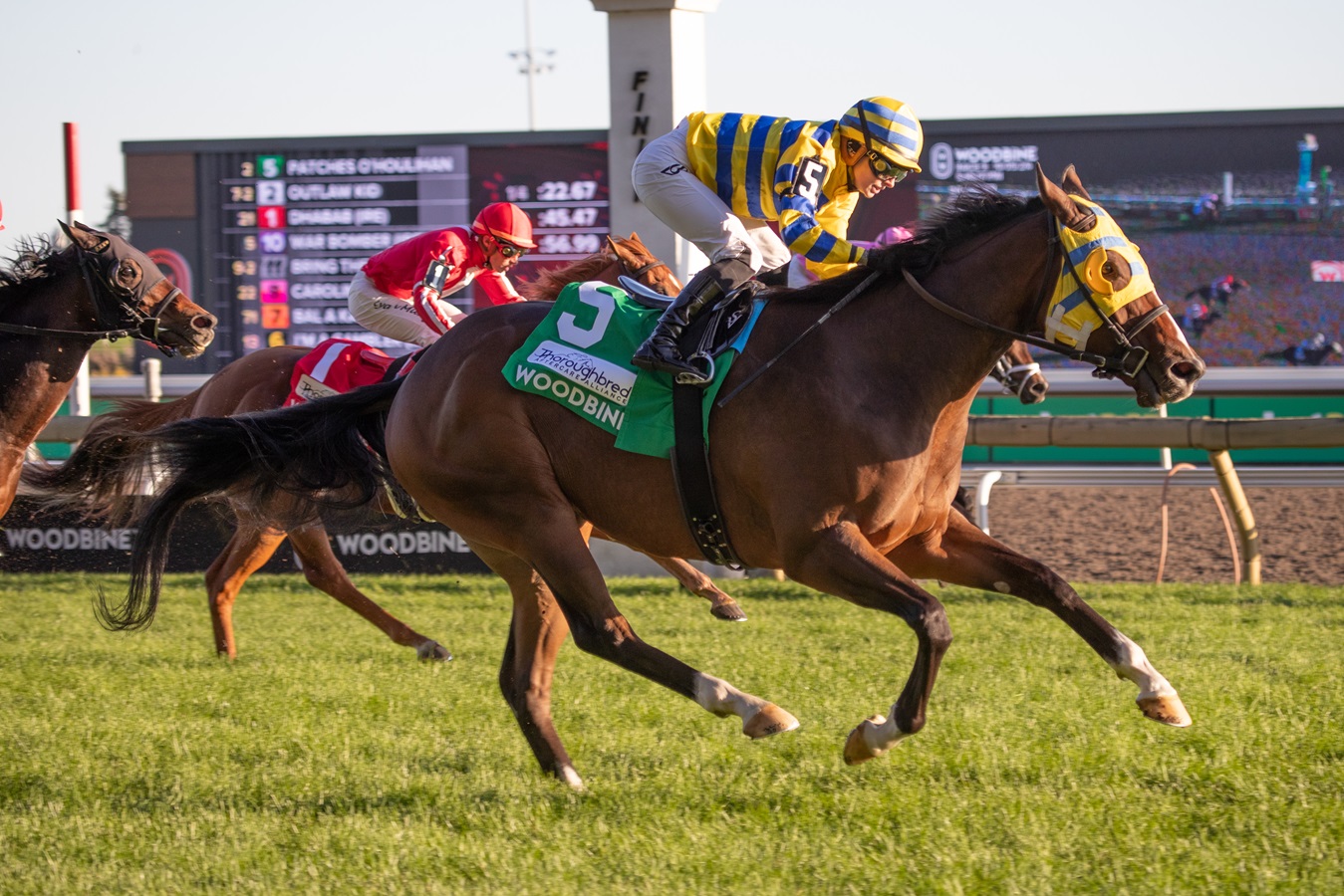 A Patches O'Houlihan no lo pudieron someter en el Neartic G2T en ...