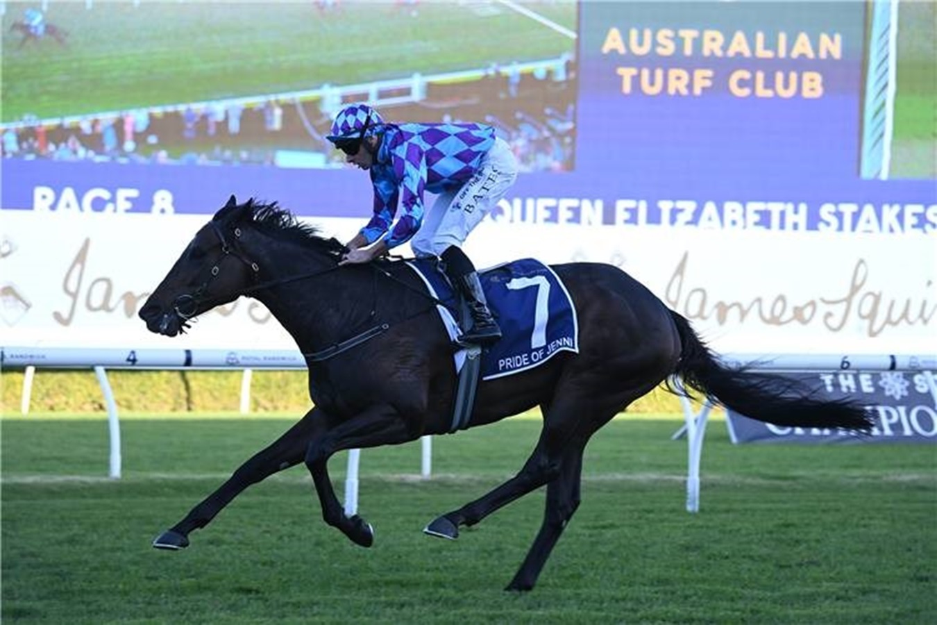 ¡Un espectáculo aparte! Pride of Jenni es la atracción del King Charles ...