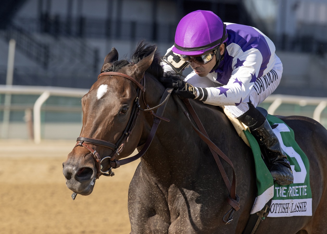 Immersive y Scottish Lassie son las favoritas en la Breeders’ Cup ...