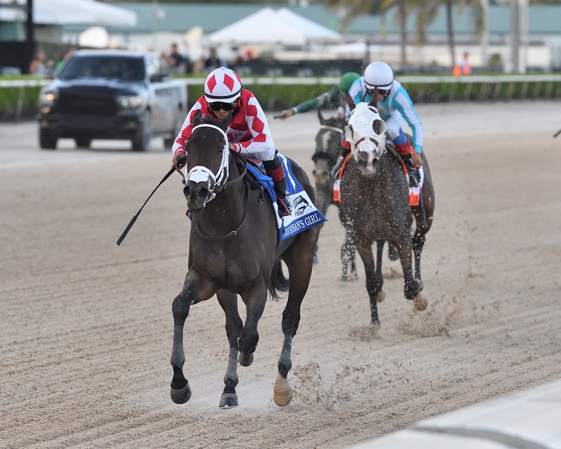 Rated by Merit y Win N Your In triunfadores en los Stakes de Gulfstream ...