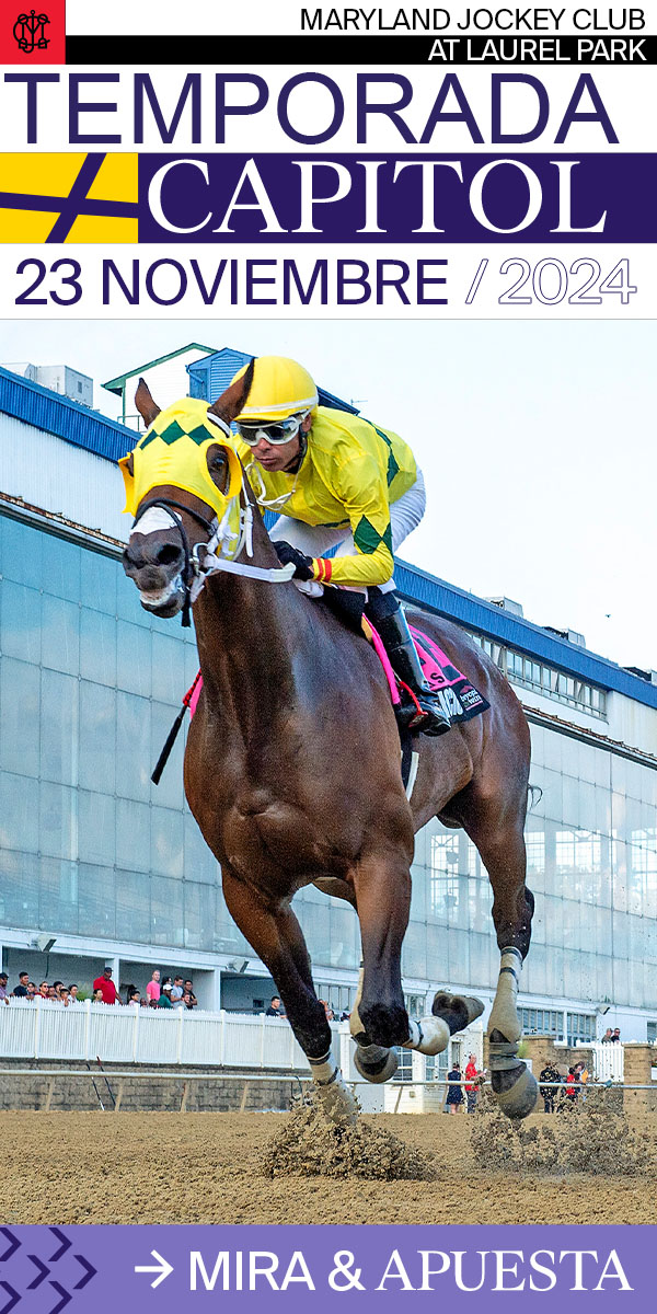 Pronósticos | DRF en Español