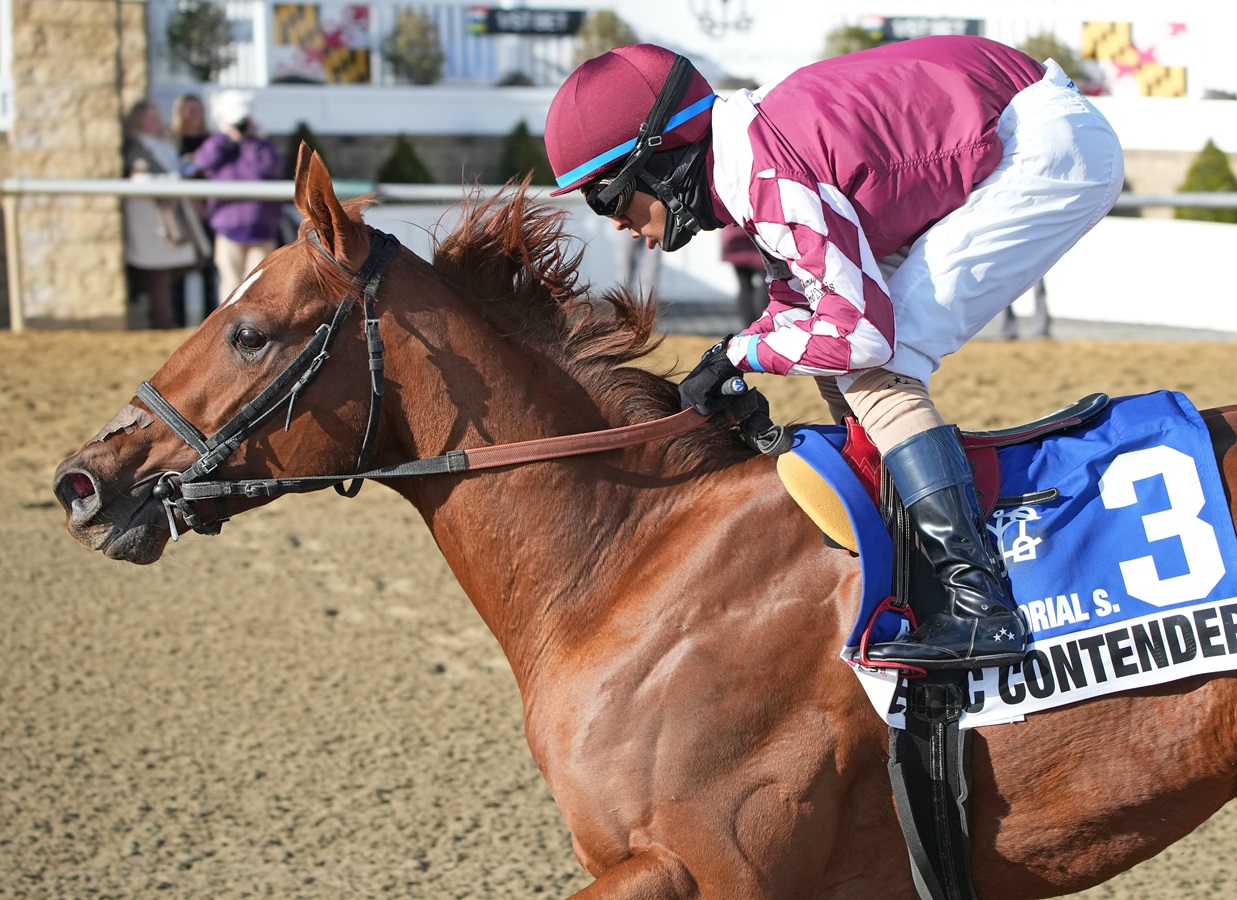 Éxitosa jornada de Stakes navideños en Laurel Park | DRF en Español