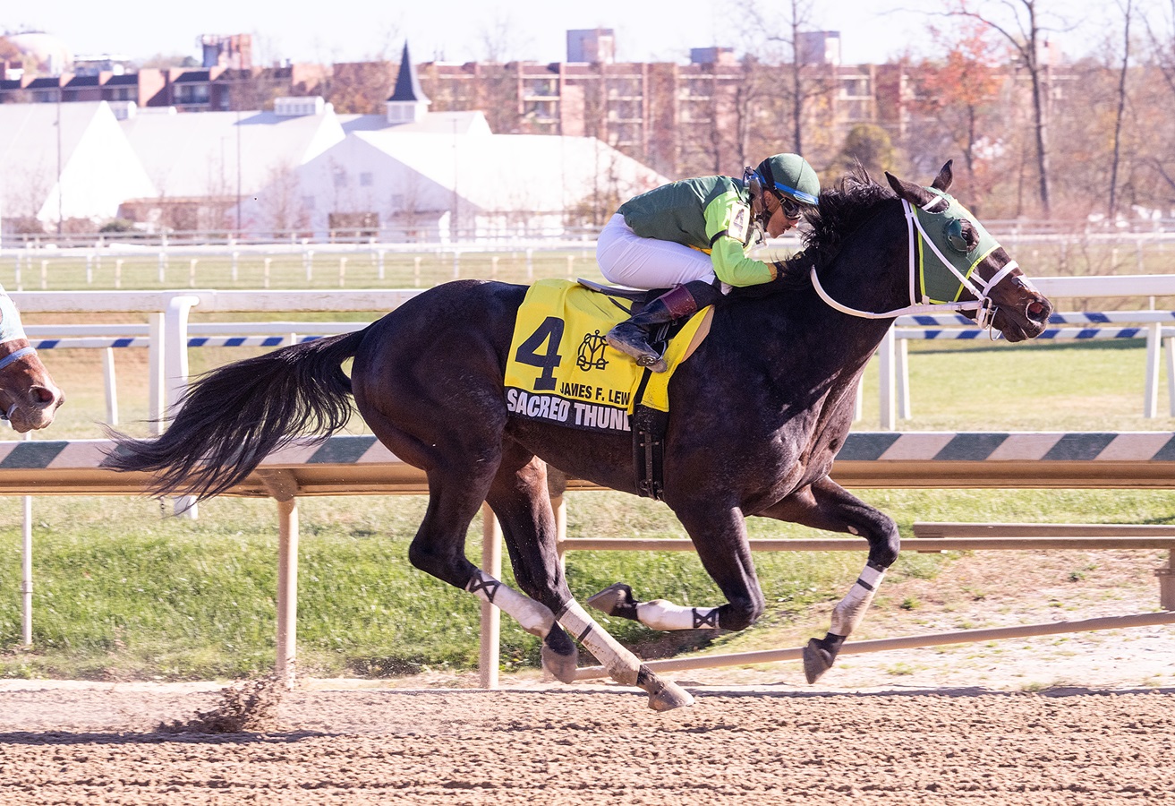 Los dosañeros tendrán su escena con estas selectivas en Laurel Park ...