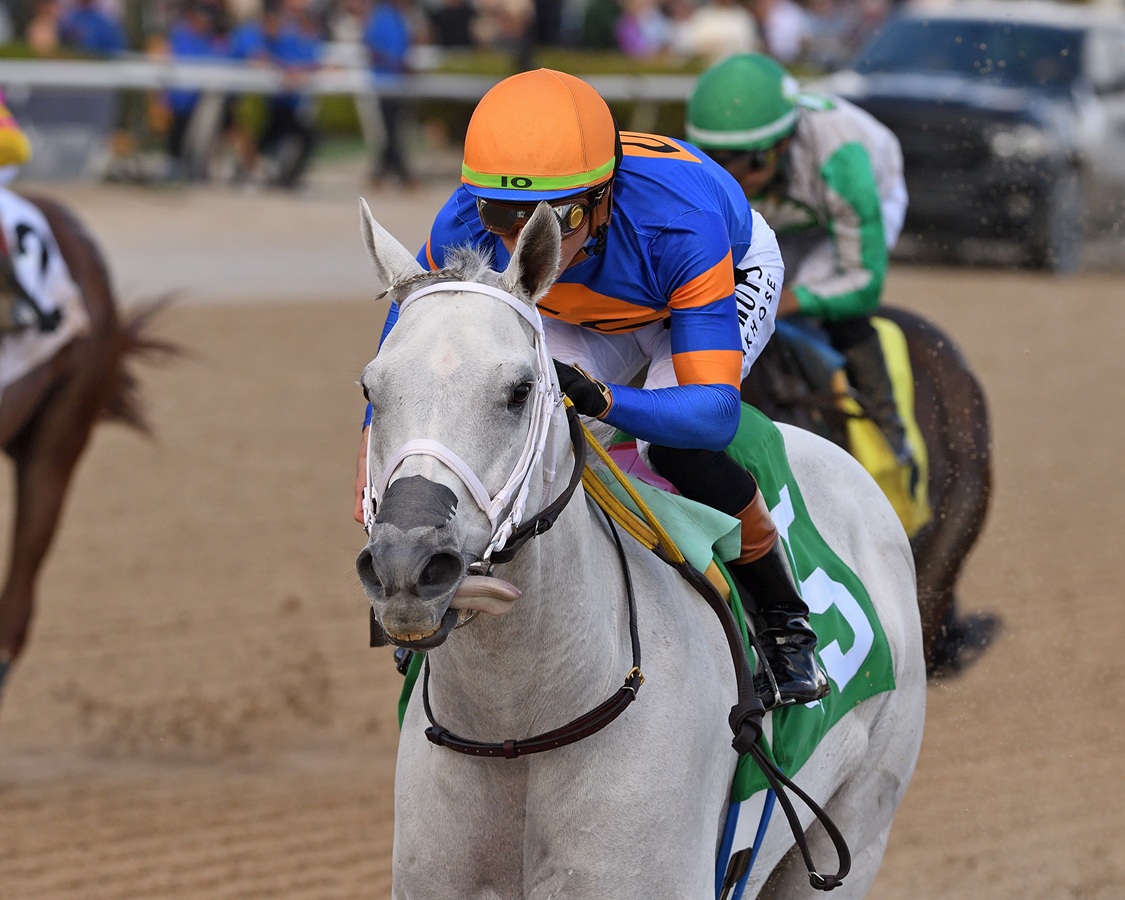 Gulfstream Park ofrecerá este sábado más de los Sunshine Stakes | DRF ...